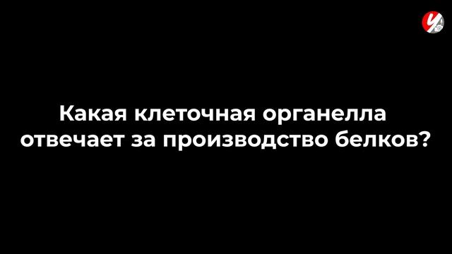 Сезон 2 Выпуск 2 | Шоу «Школьные вопросы»
