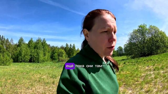 Vlog с пасеки. Про ловушки для пчёл и разговоры о важном