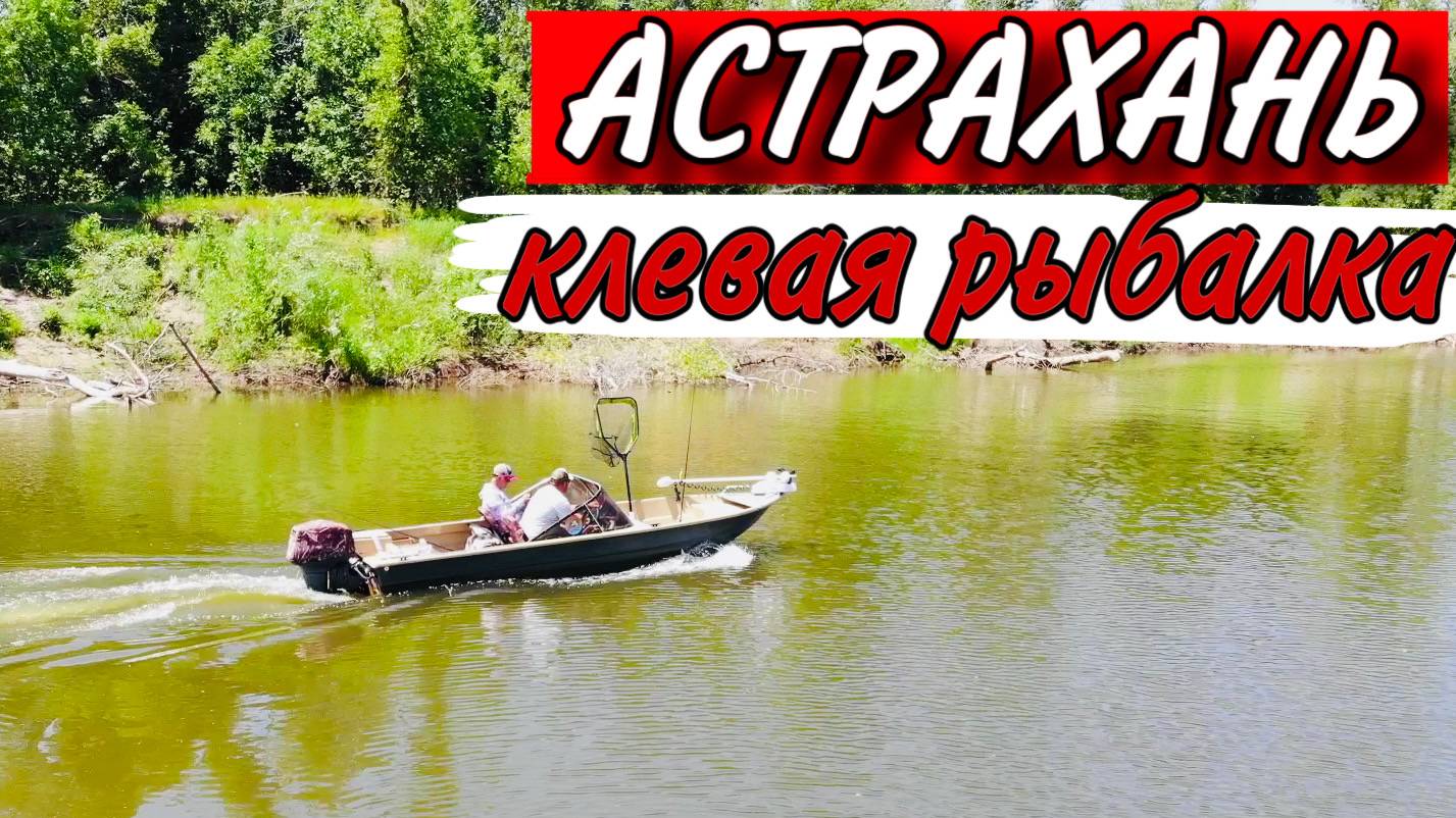 КОСИМ СУДАКА на каждом забросе Рыбалка в Астрахани на спиннинг ЕНОТАЕВКА