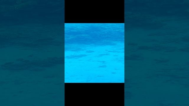 Красное море, Египет , Шарм , Шарм эль ШЕйх