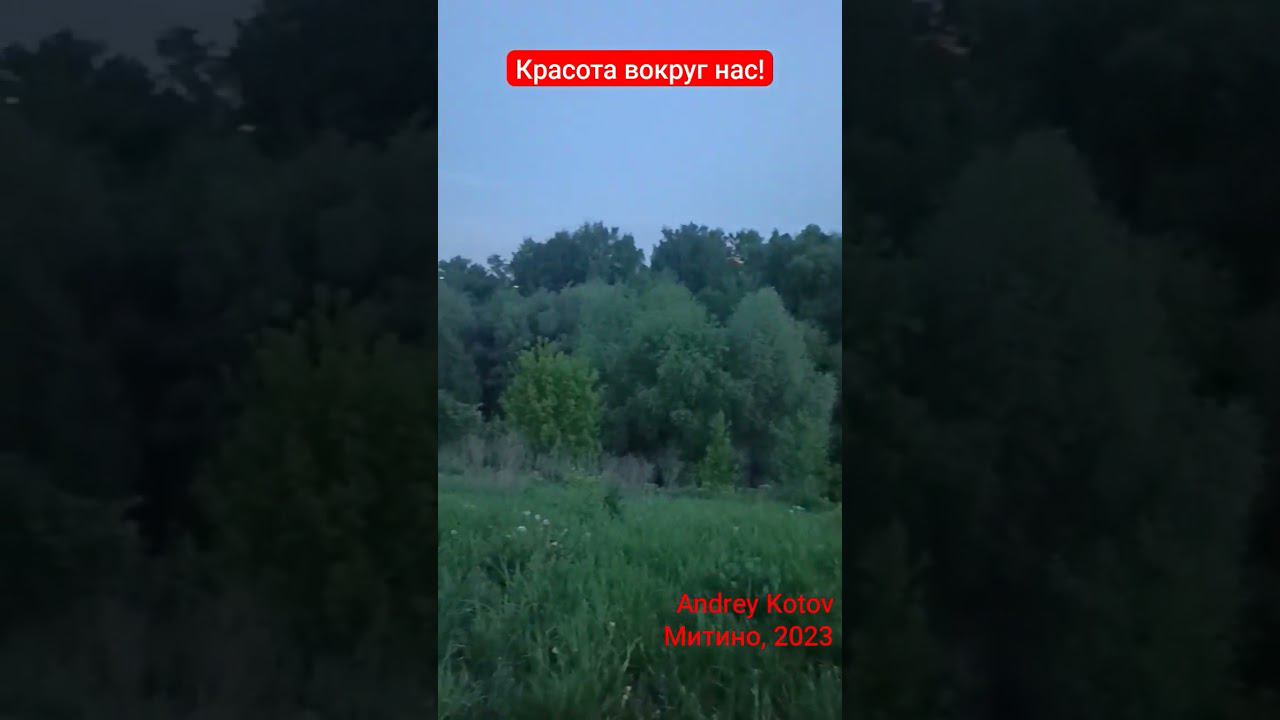 Красота вокруг нас! Митино, 2023 #2023 #красотавокругнас #mitino #andreykotov @Kotov.Andrey