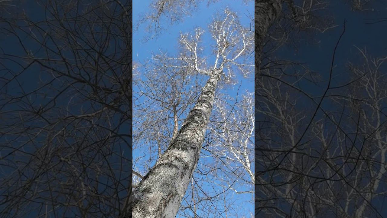 23 марта 2024 г.