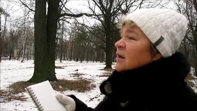 Веселые выходные. Артохота в парке. Характер дерева.mp4