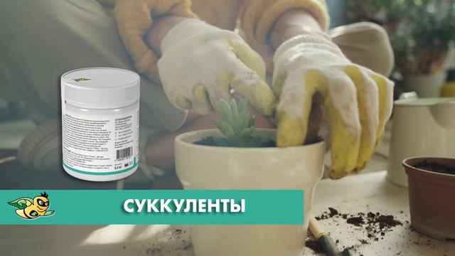 БИОСТИМУЛЯТОР РОСТА СУККУЛЕНТОВ