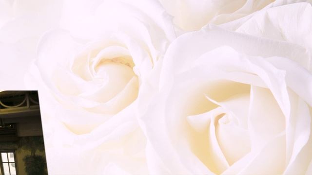 Сретенский монастырь.avi