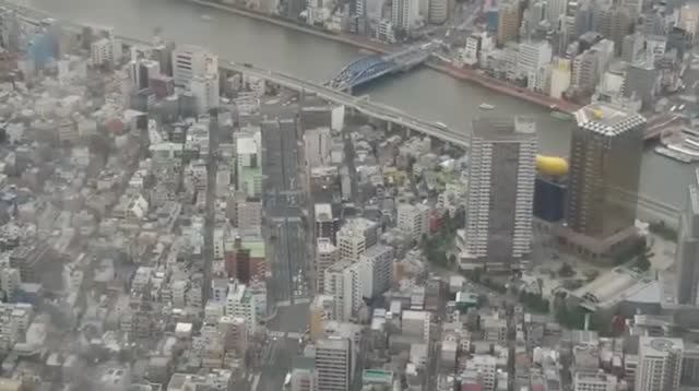 Япония. Взгляд на столицу с высоты Токио Sky Tree.