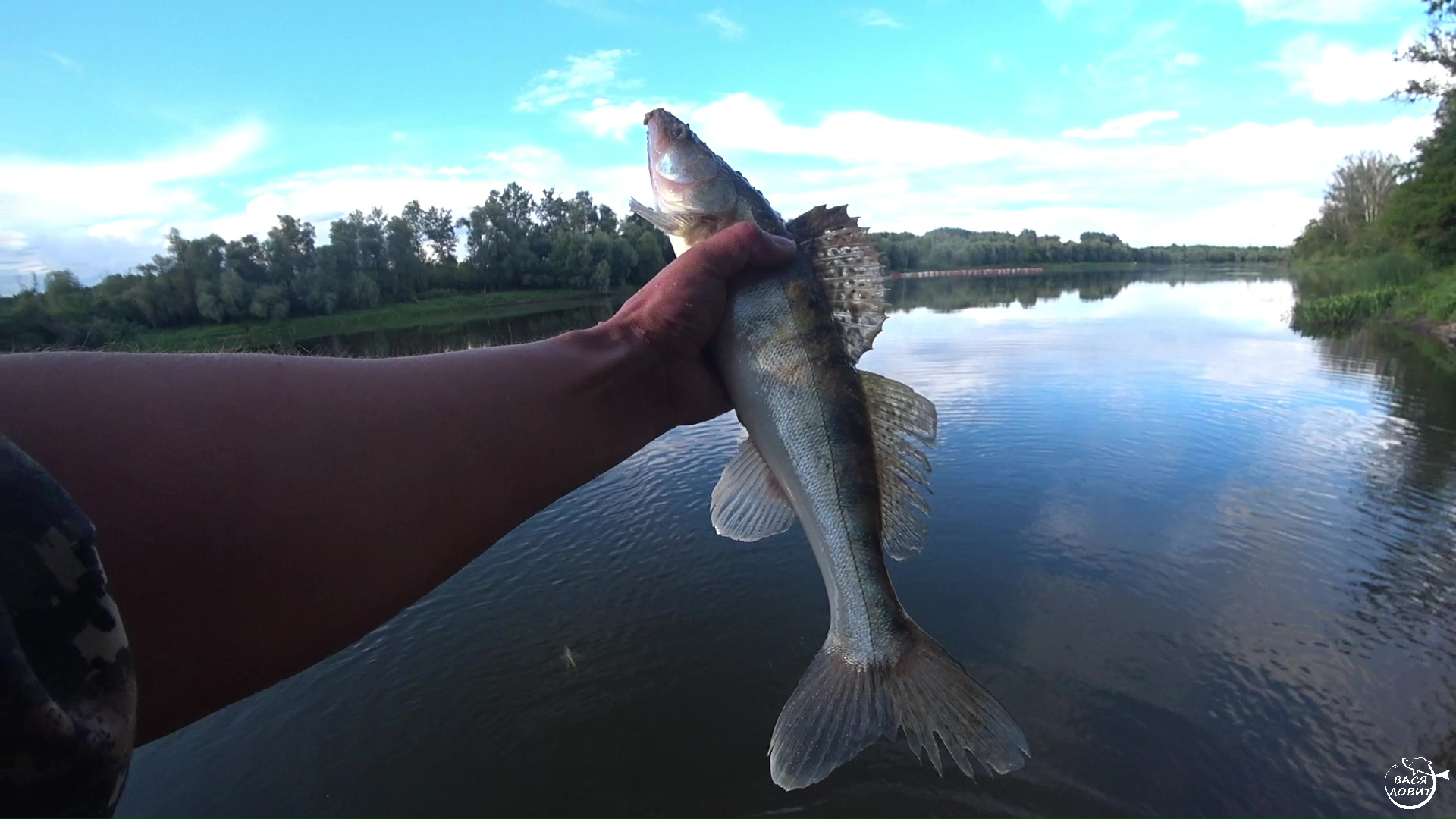 СУДАК на отводной. Проверил яму возле берега