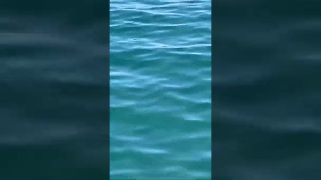 Море ?с рыбками горы и все это Анталия.