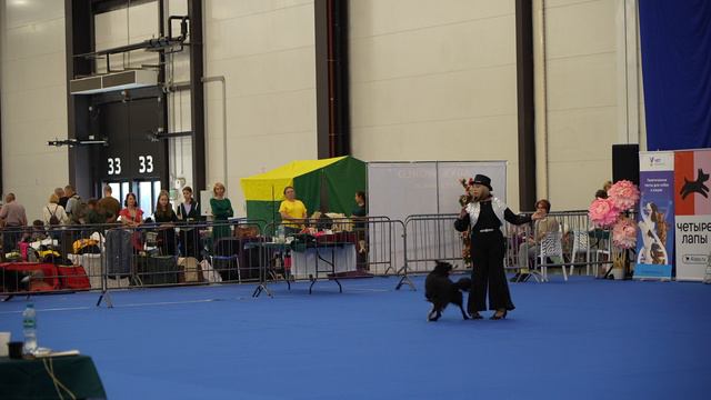 Танцы с собаками.Людмила Ейбогина.Зоошоу-осень 31.08.2024.Экспофорум.Санкт-Петербург.