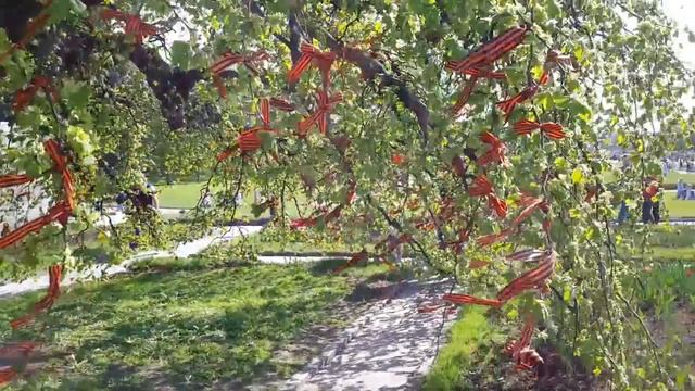 9 мая 2016. Ленинград. Пискаревский мемориал.