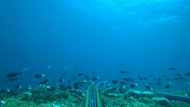 Нуса пенида индонезия 2019 охота