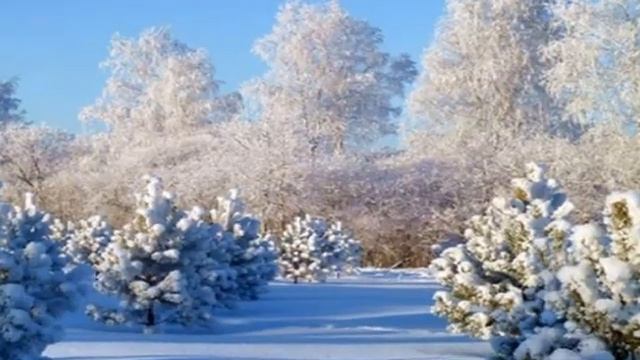 Дуэт Жизни река Зимой любовь, как сказка Сл Светланы Дубковой муз Елены Капитай Ав вид НРудакова