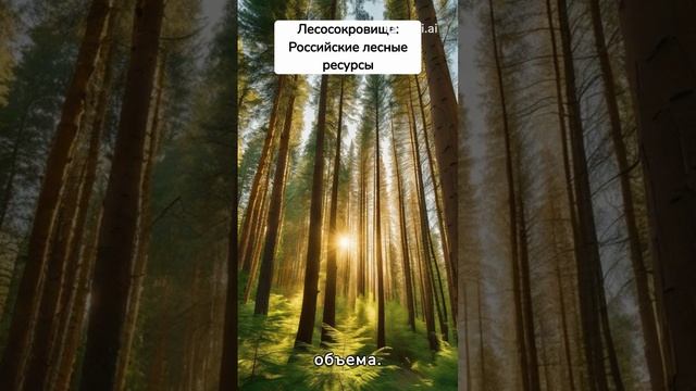 5 интересных фактов про Россию