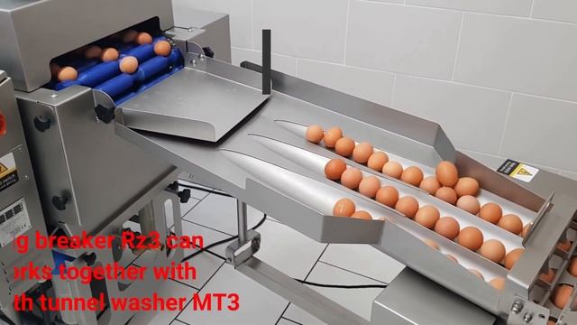 Линия для мойки и разбивания яиц Ovo Tech