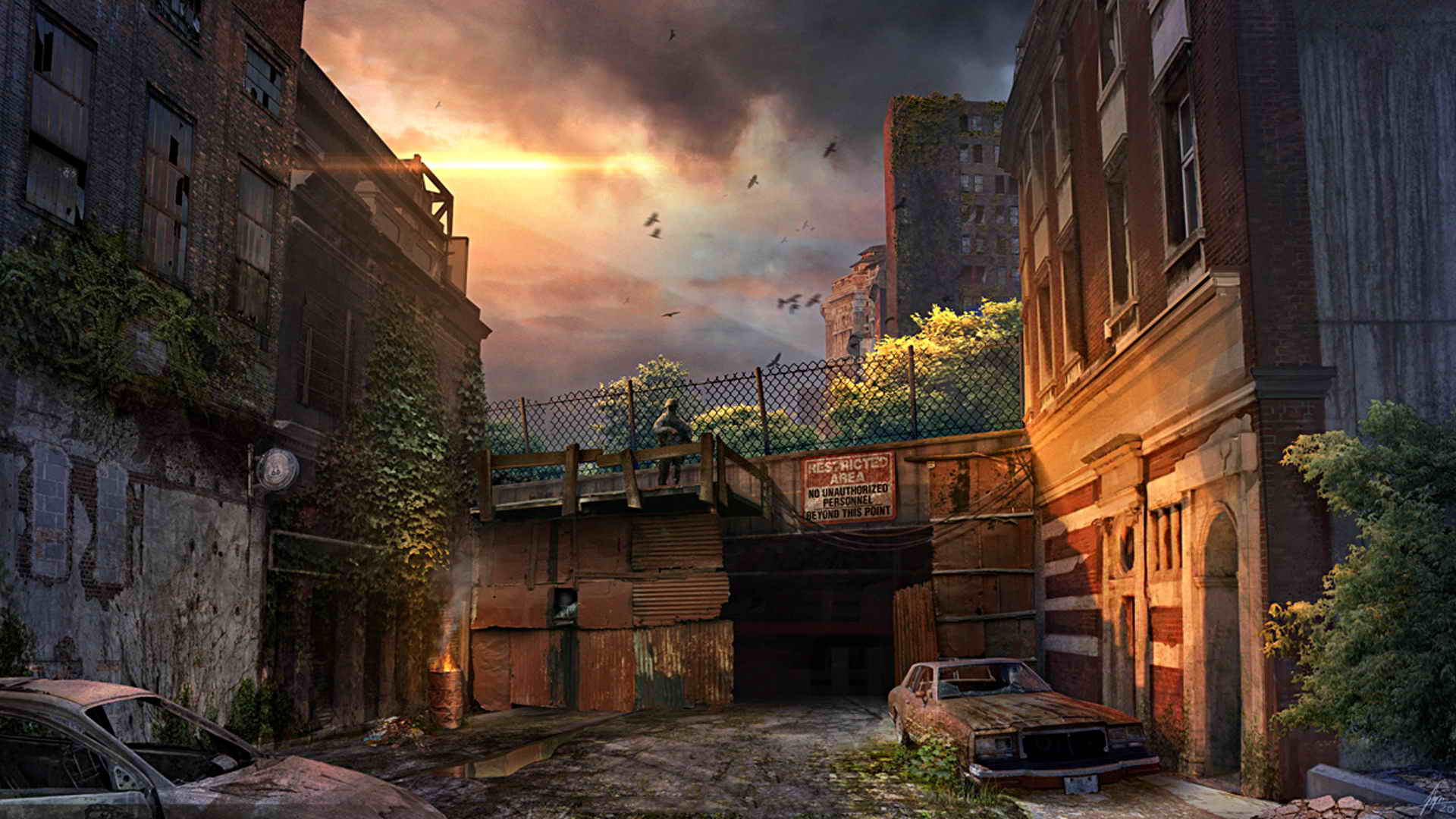 Урбанизация