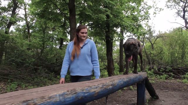 "Друг". Фильм Полины Левицкой и Надежды Аккуратовой