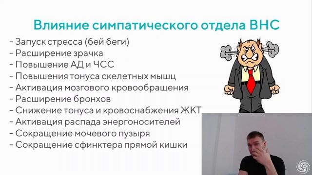 2.20. Нервная система