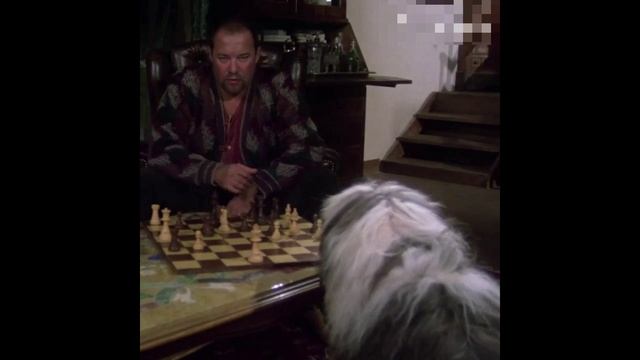 Фильм Укрощение Строптивого Андриано Челентано в моем исполнении - johnny kirillov