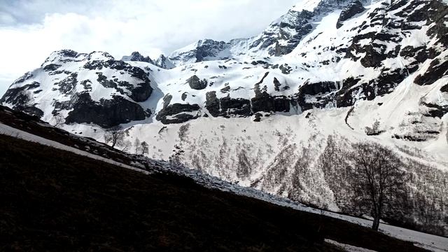 VID_20220504_093933.3gp