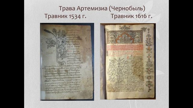 Чем лечился Иван Грозный?