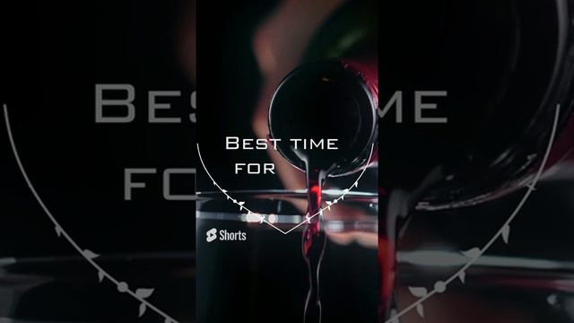 Винные шкафы MEYVEL - винный погреб у Вас дома #shorts #интерьер #вино #холодильник #виноград