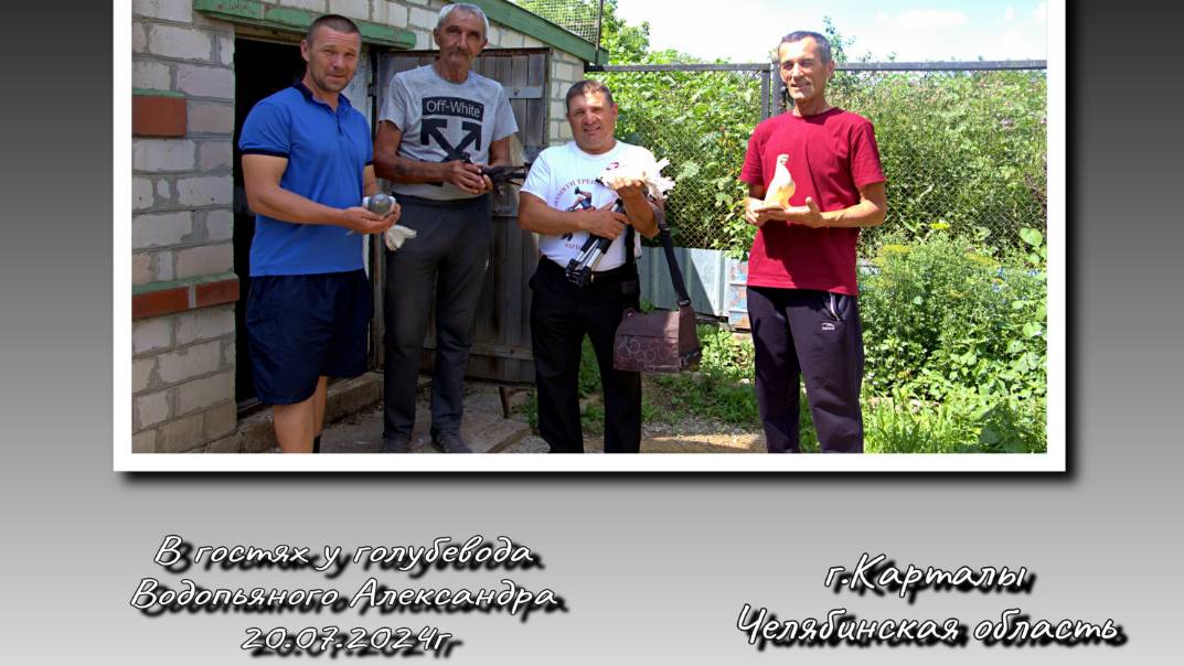 Водопьянов Александр/ Голубевод. г. Карталы 89227152865