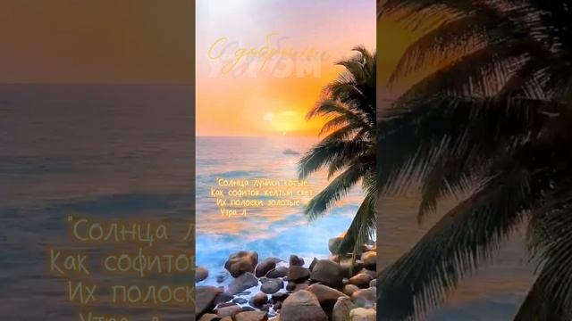 Утра летнего привет