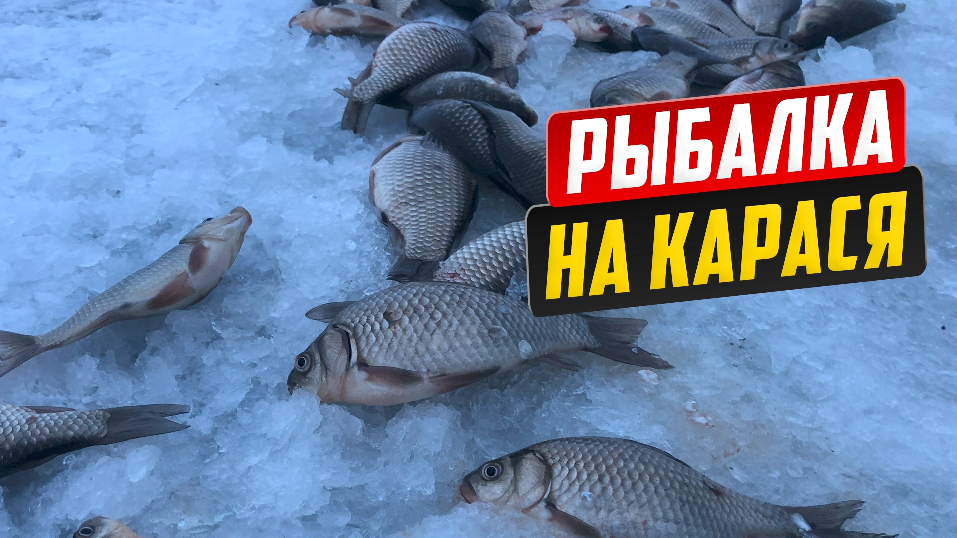 Захватывающая зимняя рыбалка на карася: Ловля на поплавок и мормышку.