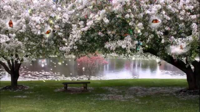 Вслед догорающим закатам