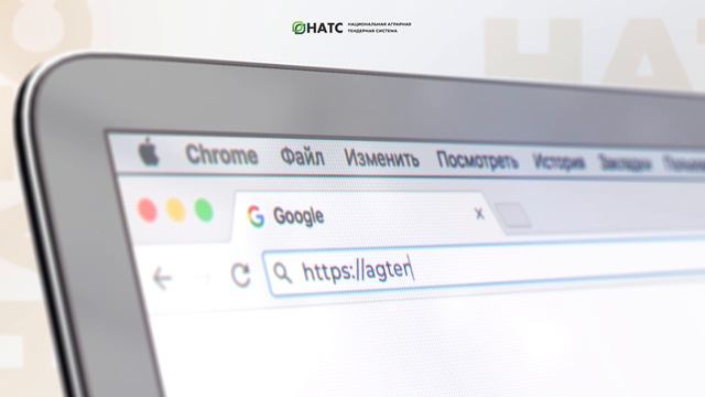 Видеопрезетация сервиса НАТС