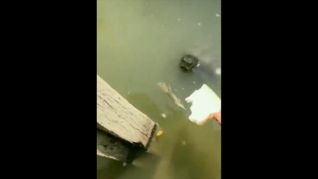 подборка приколов 69