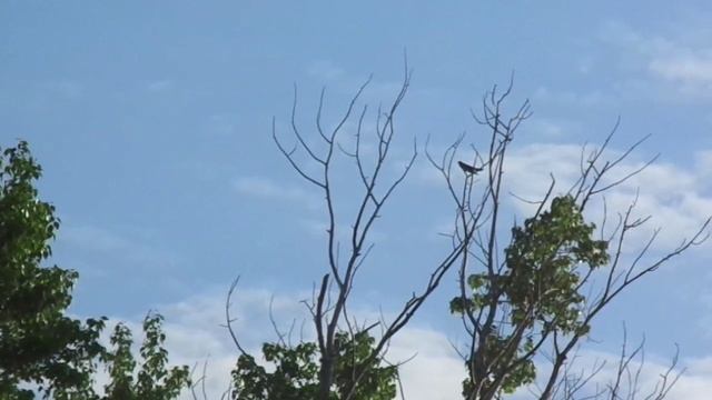 Рыбалка на донки в мае на реке.