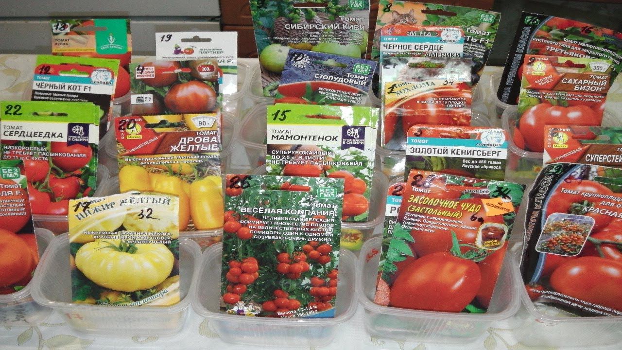 ДЛЯ РАННЕГО УРОЖАЯ ТОМАТОВ В ОТКРЫТОМ ГРУНТЕ В СИБИРИ СЕМЕНА СЕЮ В ПЕРВОЙ ПОЛОВИНЕ МАРТА .