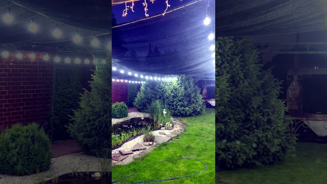 Дом милый дом.