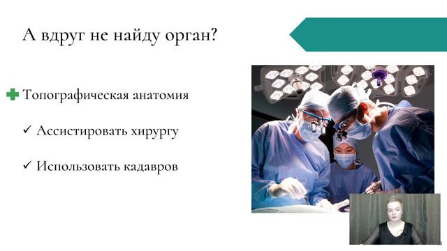 С чего начать, если хочешь делать УЗИ собакам и кошкам? Разбор УЗИ собаки