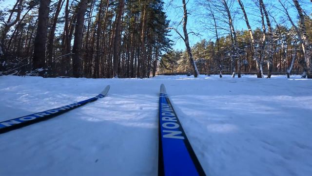 На лыжах №5. Из Оптимиста в Первомай