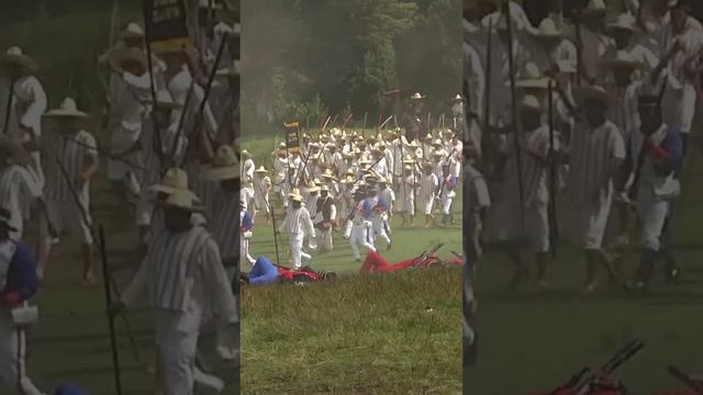 Русская армия была союзником Наполеона в 1812-м? #online #история #образование #армия #война