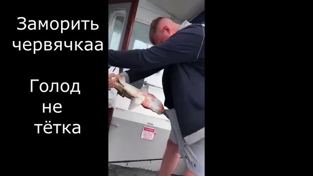 Акула чуть не кастрировала рыбака