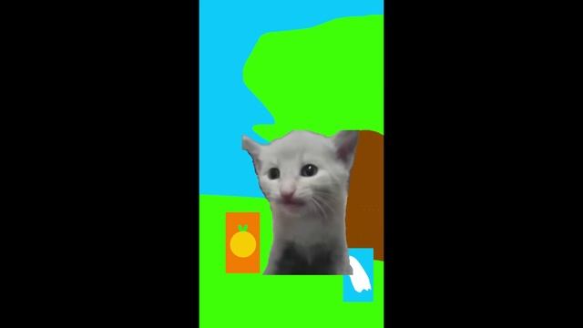 Недели котёнок Shorts (4)