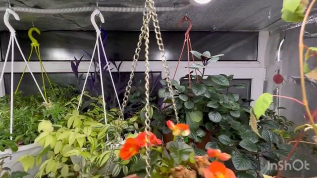 Обзор теплицы на 6 марта 2023г.