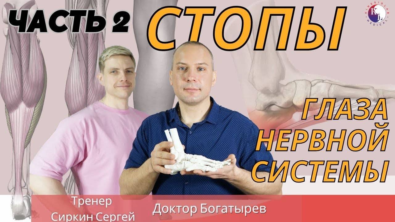 Здоровые стопы. Какие упражнения помогут укрепить стопу и ПОЧЕМУ это так важно_ ЧАСТЬ 2 УПРАЖНЕНИЯ