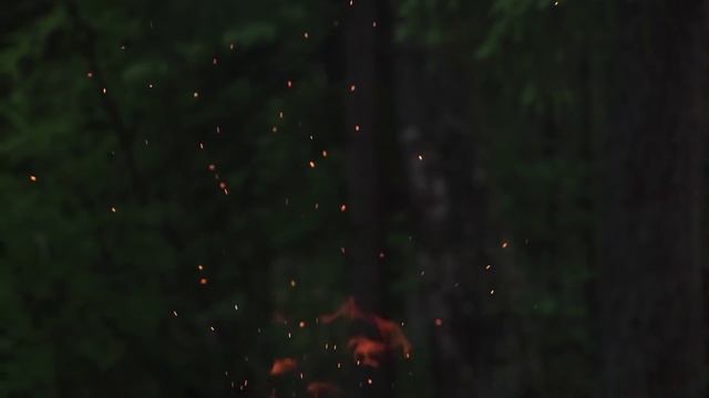 Короткометражный фильм "Затихшие голоса"