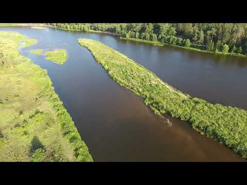 Река Неман в июле 2017 года, в районе деревни Шавдини. Гродненская область, Беларусь