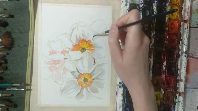 Нарциссы. Акварель.