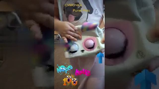 НАКА?Сумочка  Purse Pets