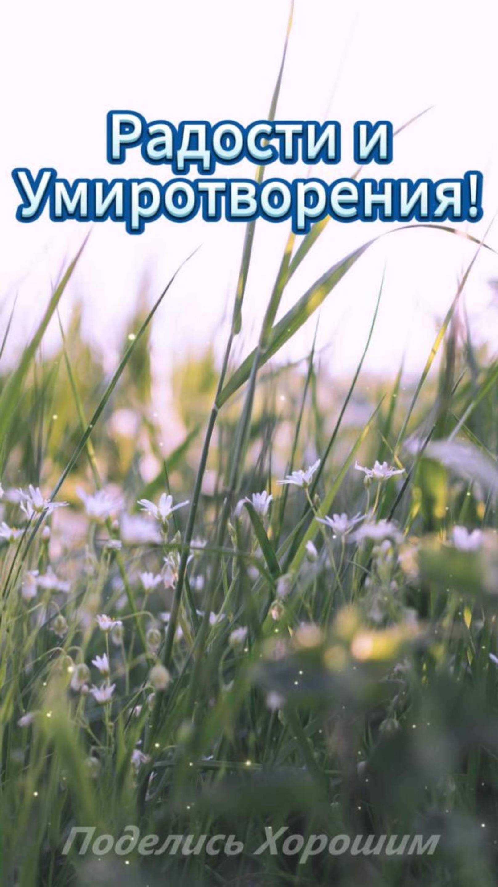 Гармонии и Благополучия!