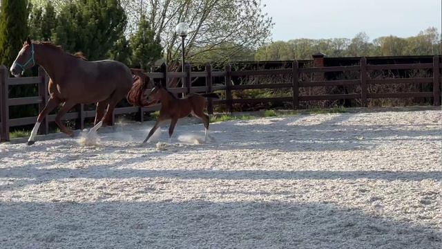 Valletta de Temple-24