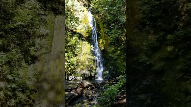 Waterfall_ Водопад#nature #wasserfall #wald #wassergeräusche