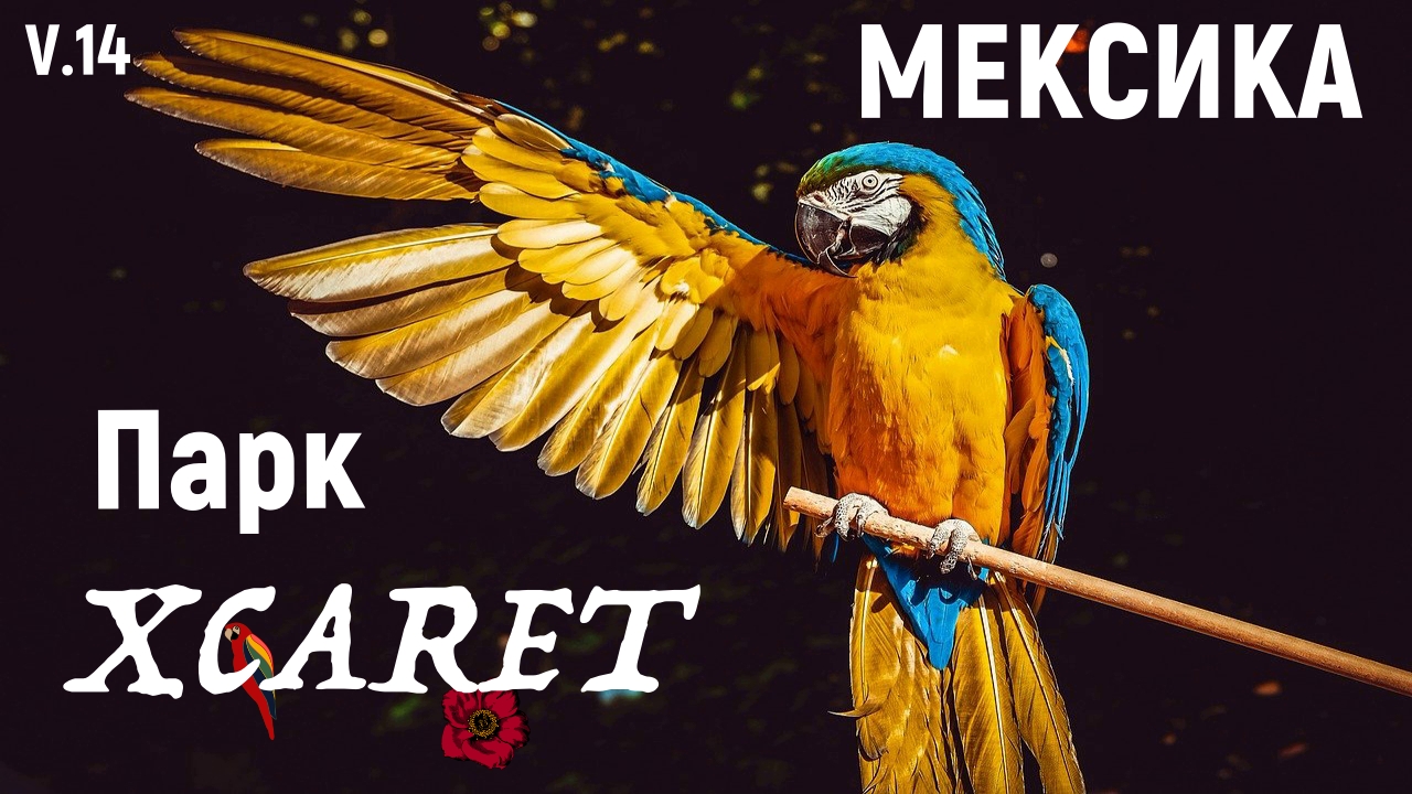 14. Мексика. Парк Шкарет "XCARET"