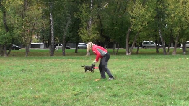 Чемпионат России Фристайл Елена и Ума.mp4